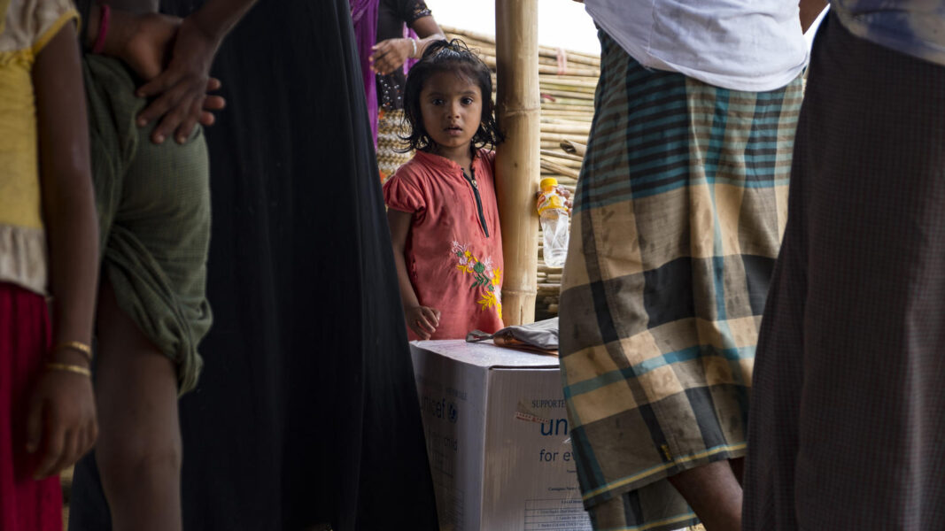 Shortfall in education opportunities deepens despair of refugee ...